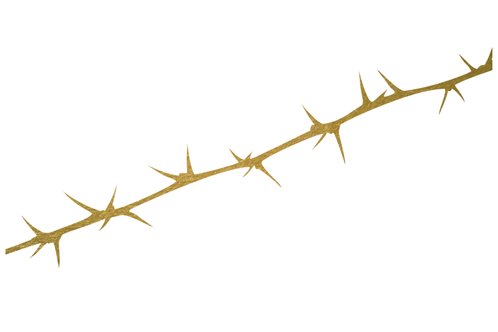 Epine 3 - La Familia